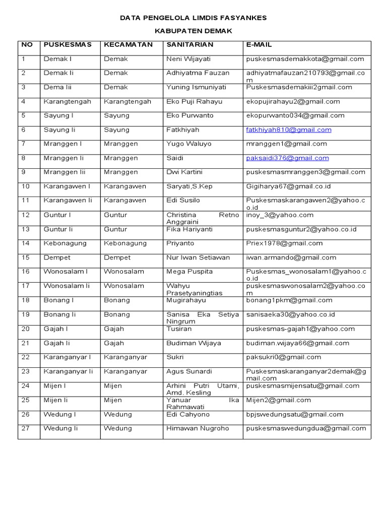 Data Pengelola Limdis Fasyankes Demak | PDF