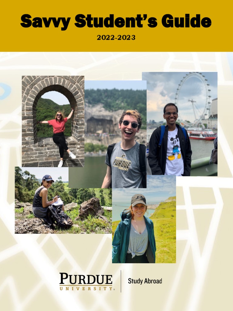 Savvy Guide | PDF | International Student | Academic Dishonesty