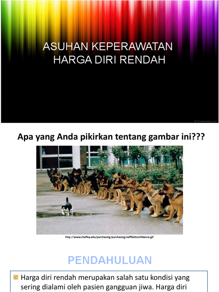 Askep HDR Komite | PDF