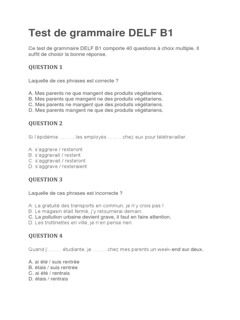Test de Grammaire DELF B1 | PDF