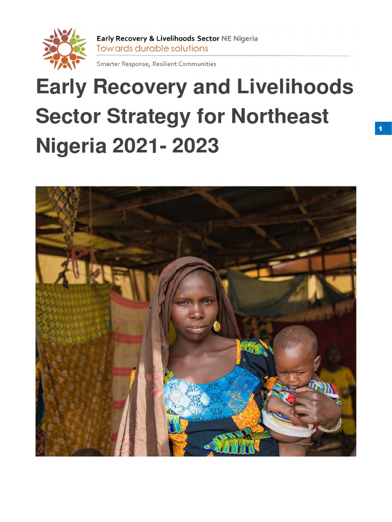Early Recovery And Livelihoods Sector Strategy For Northeast Nigeria
