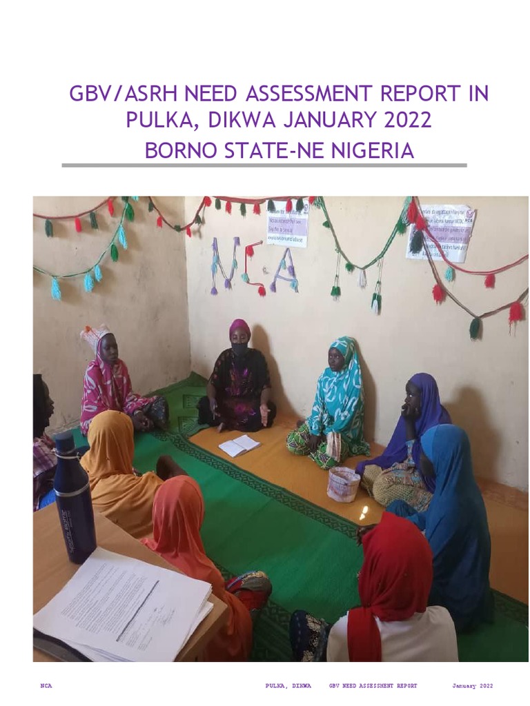 GBV and ASRH Needs Assessment in Nigeria | PDF | Violence Against Women ...