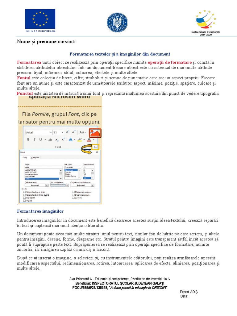Proiect Fise Form Word | PDF