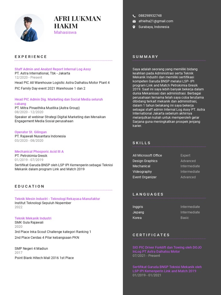 CV Afri Lukman Hakim | PDF | Bisnis | Komputer