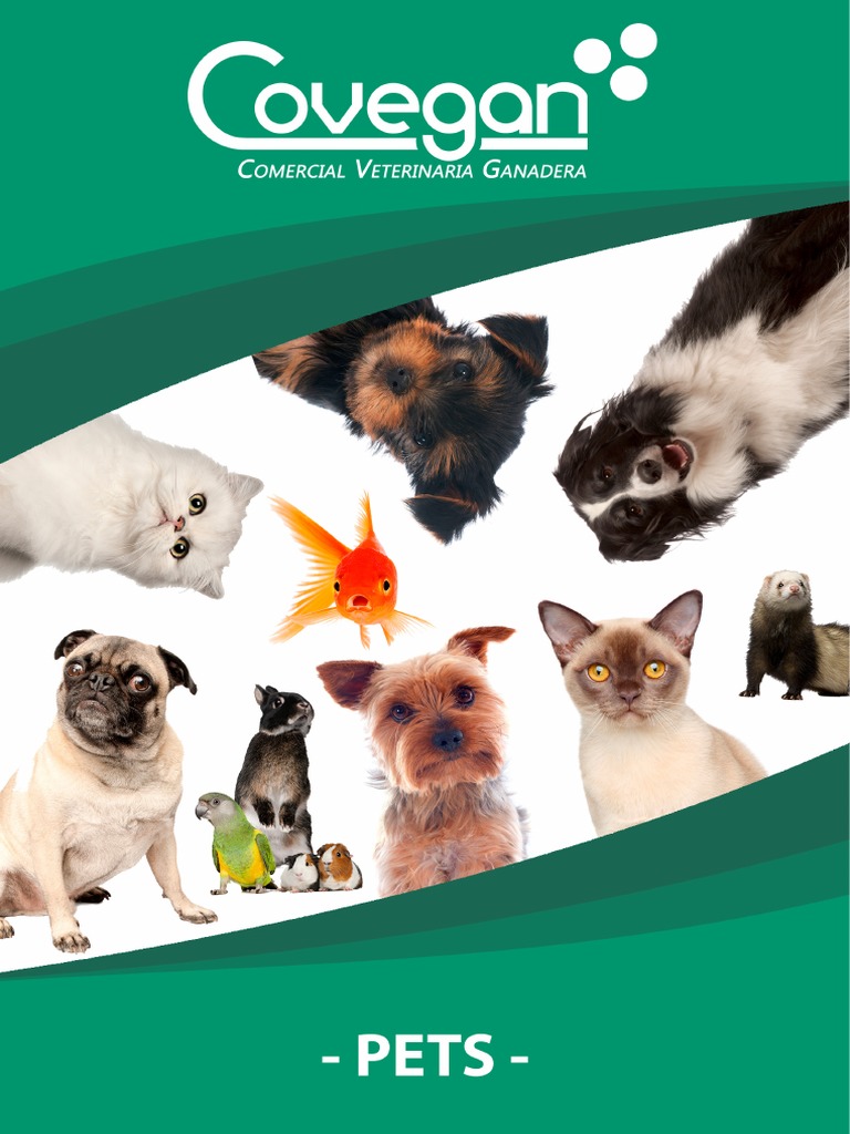 Catálogo Completo Covegan Pets 2019 | PDF | Azul | Verde