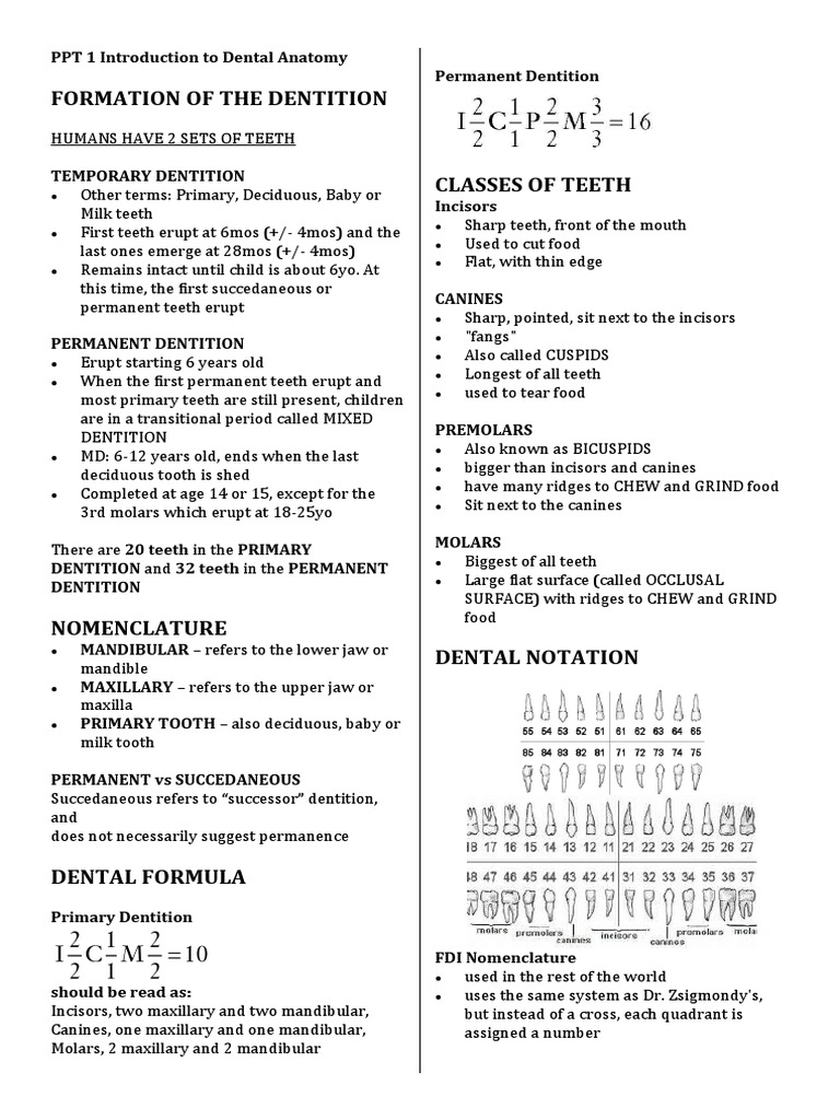 Forensic Odontology | PDF | Dental Anatomy | Anatomy