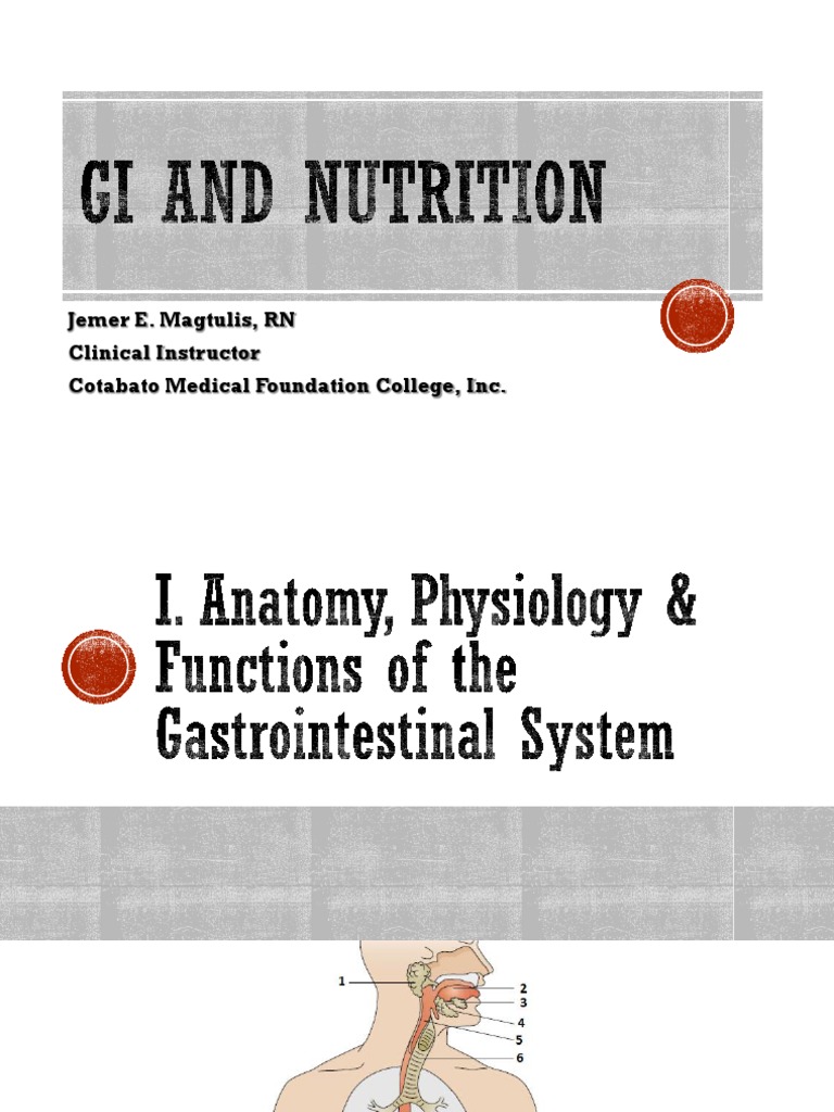 Day 1 Lecture - GI and Nutrition | PDF | Gastrointestinal Tract | Stomach