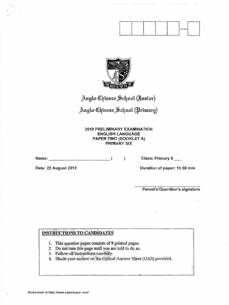 P6 English SA2 2019 ACS Exam Papers | PDF