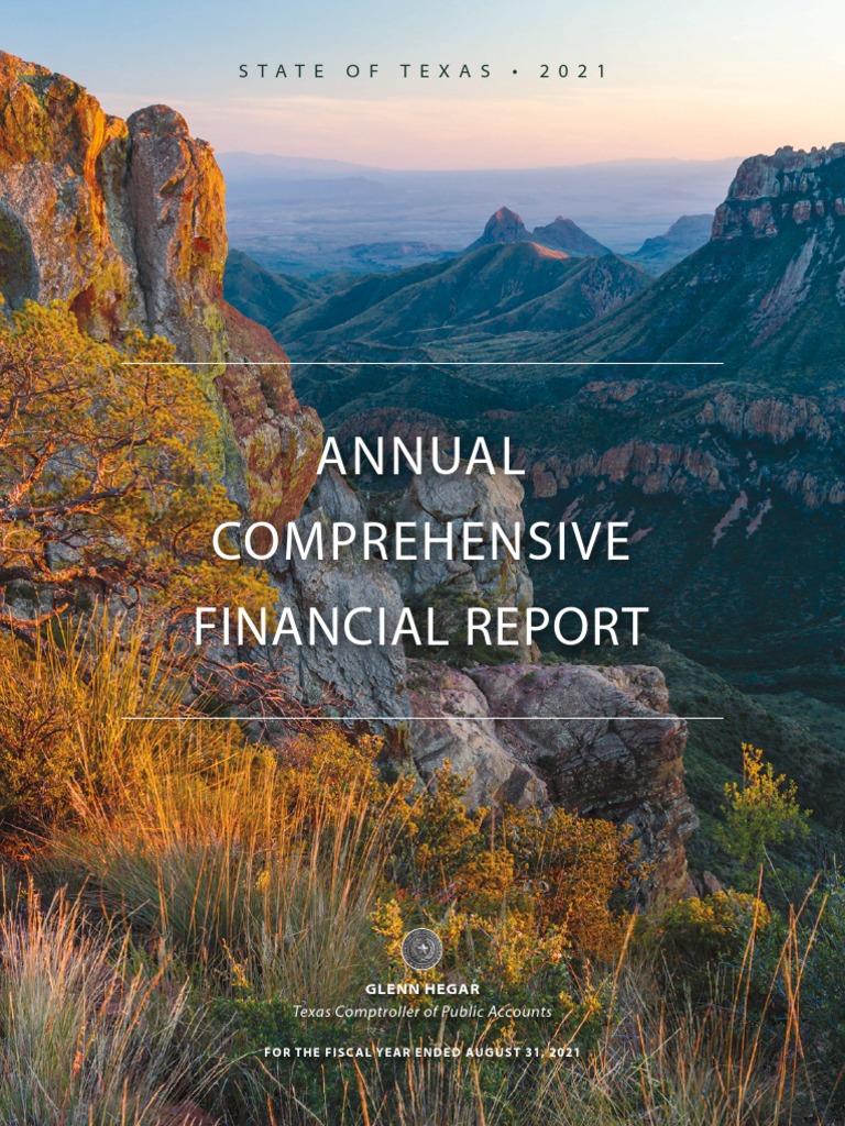 Annual Comprehensive Financial Report: State of Texas - 2021 | PDF ...
