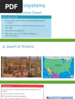 Sonoran Desert Ecosystem Guide | PDF | Food Web | Ecosystem