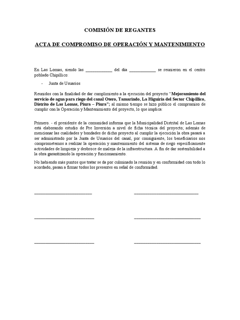 Acta Compromiso Oym | PDF