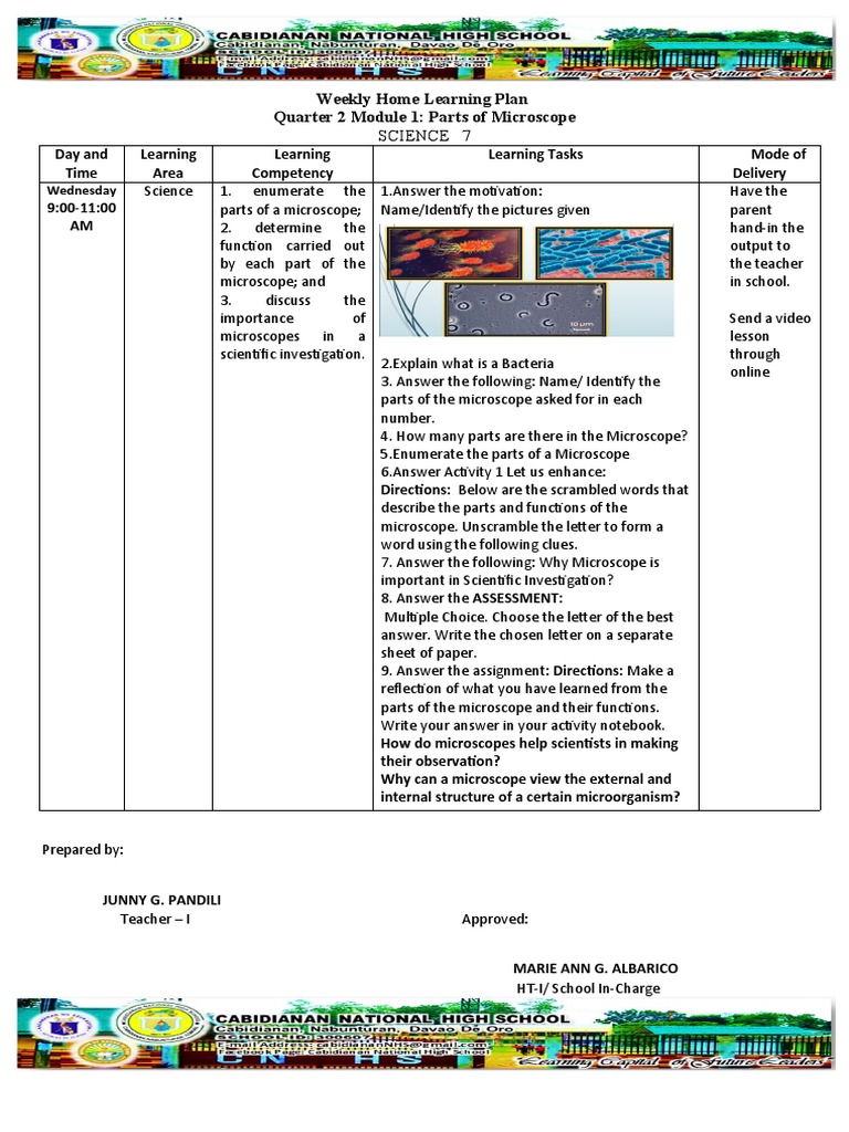 Weekly Home Learning Plan Quarter 2 Module 1 | PDF | Energy Level ...