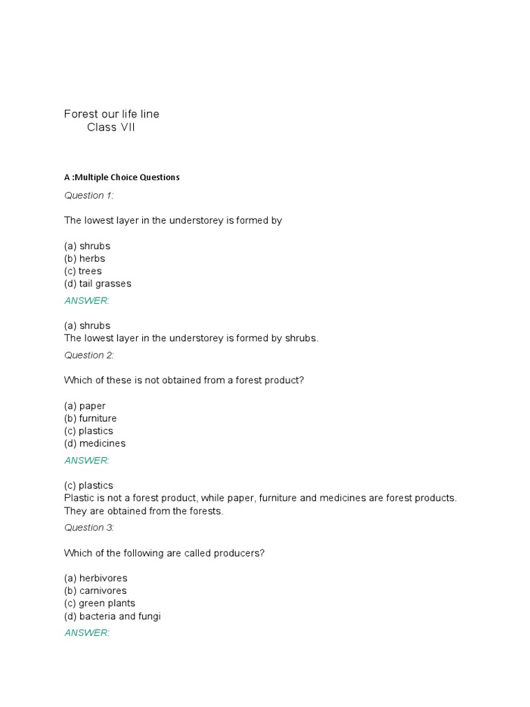 Understanding Forest Ecosystems: An Analysis of the Interconnected ...