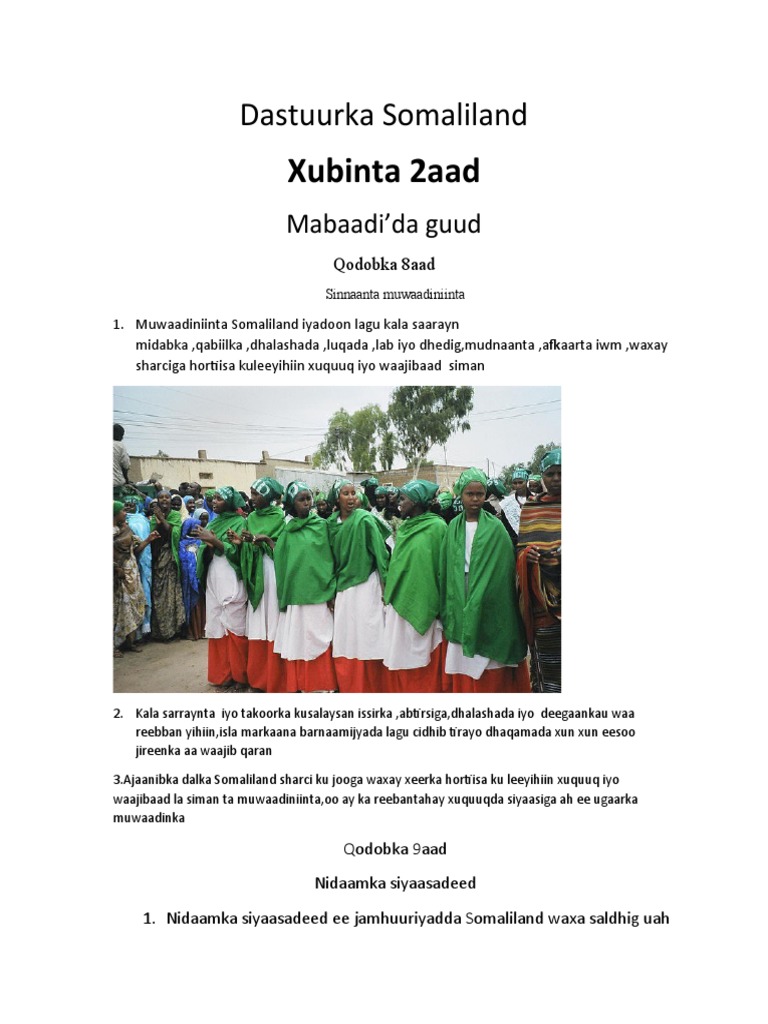 Dastuurka Somaliland | PDF