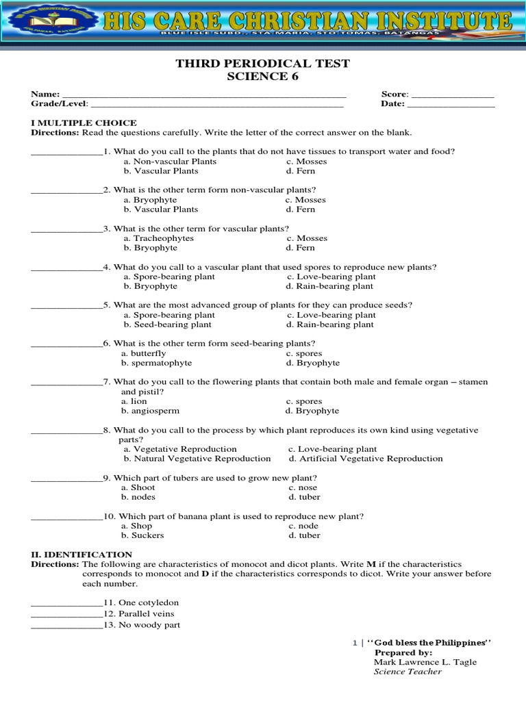 3rd Periodical Test Science g6 | PDF | Plants | Plant Stem