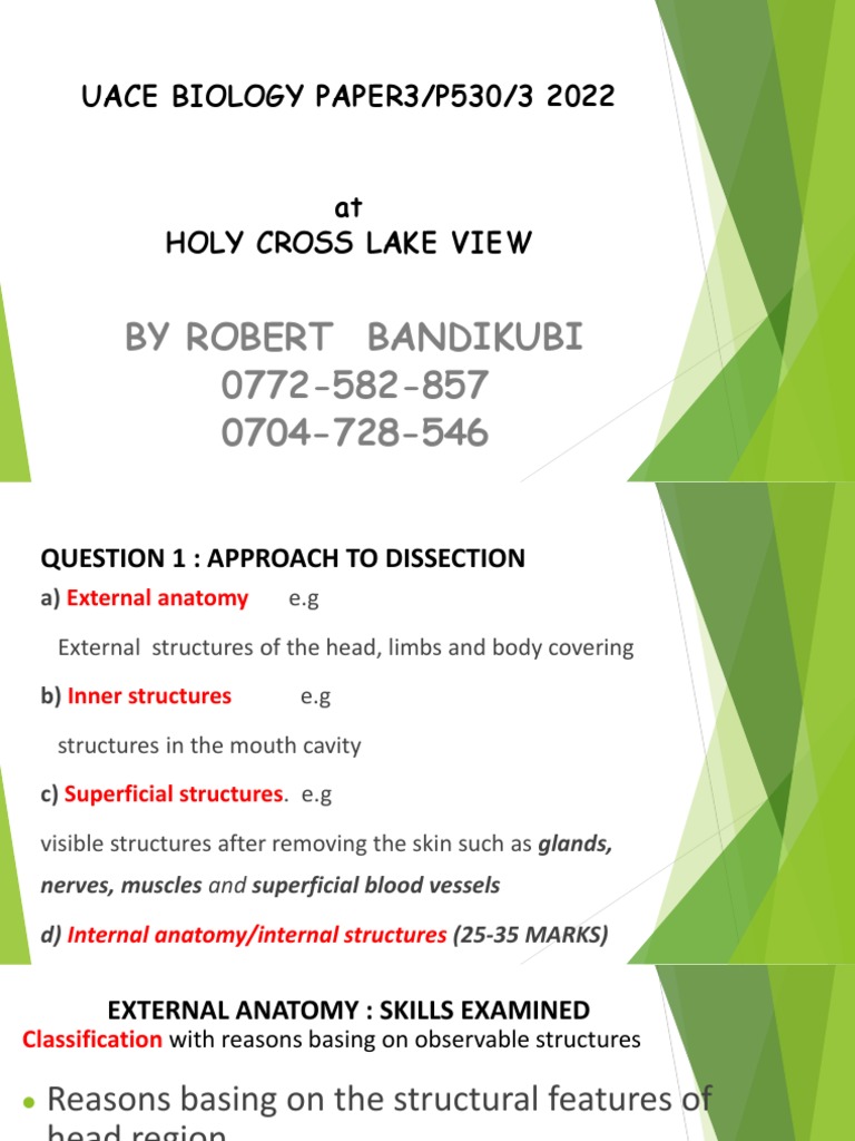 Abe Uace Biology Seminar 2022 Holy Cross Lake View | PDF