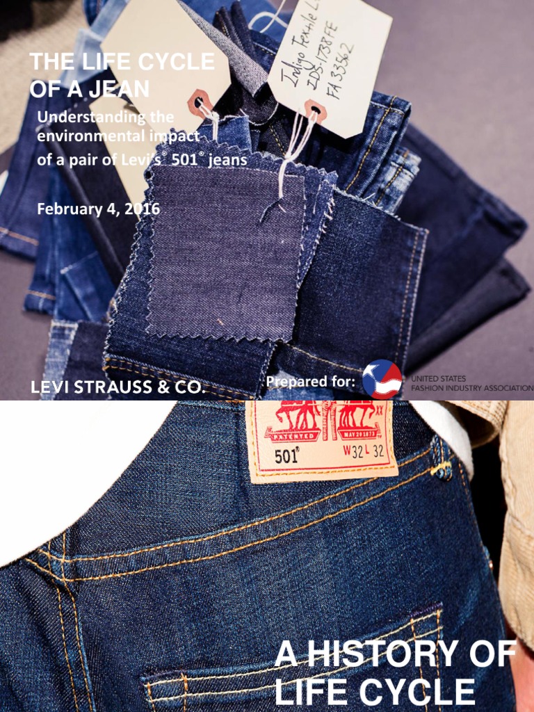 Levi's | PDF | Home & Garden | Science & Mathematics