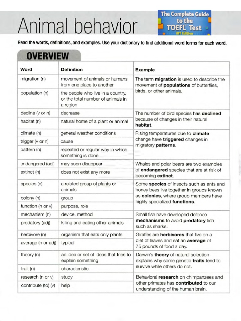 Vocab - Animal Behavior | PDF | Ant | Bird Migration