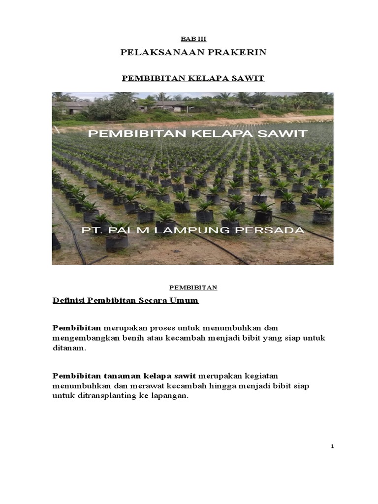 Laporan Pak Dodi | PDF | Griya & Taman | Teknologi & Rekayasa