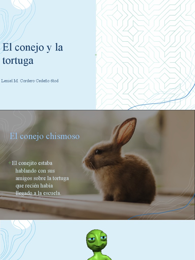 El Conejo y La Tortuga | PDF