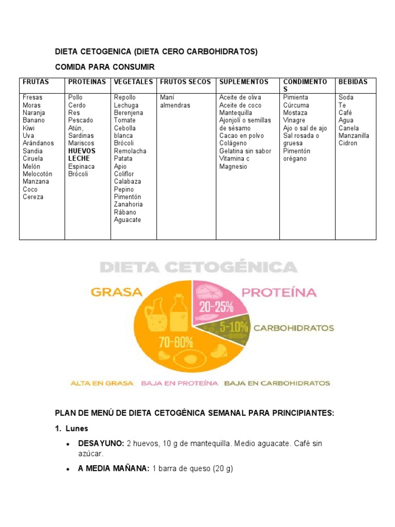 Plan de Menú de Dieta Cetogénica Semanal para Principiantes | PDF ...