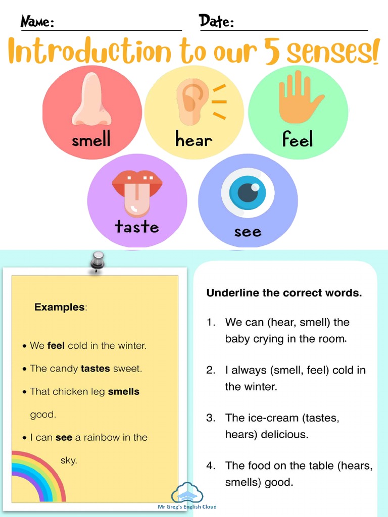 Our-5-Senses | PDF | Senses