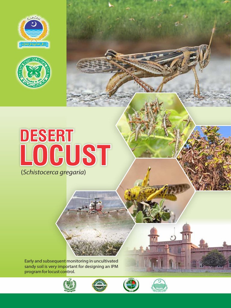 Locust Brochure (Dr. Jalal SB) | PDF | Science & Mathematics