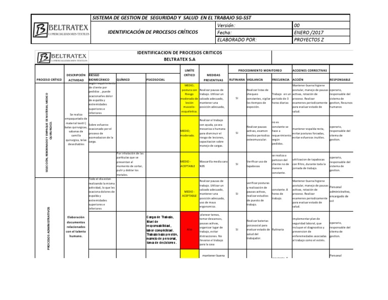 IDENTIFICACION DE PROCESOS CRITICOS | PDF | Ciencias de la Salud
