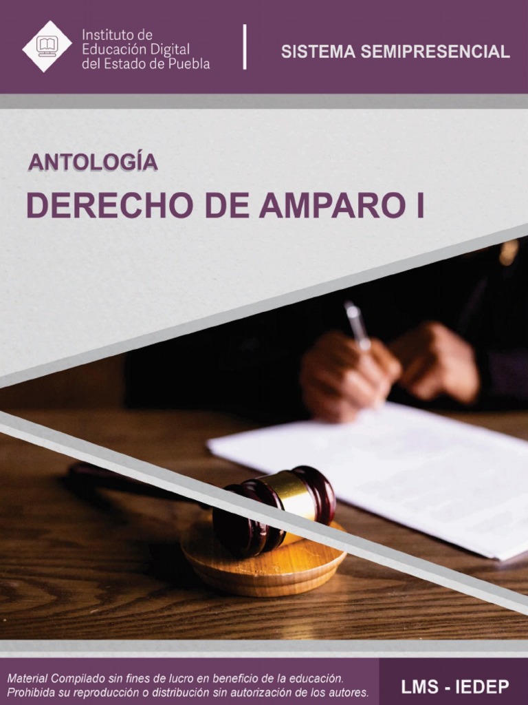 U1 Derecho de Amparo I | Descargar gratis PDF | Juez | Constitución