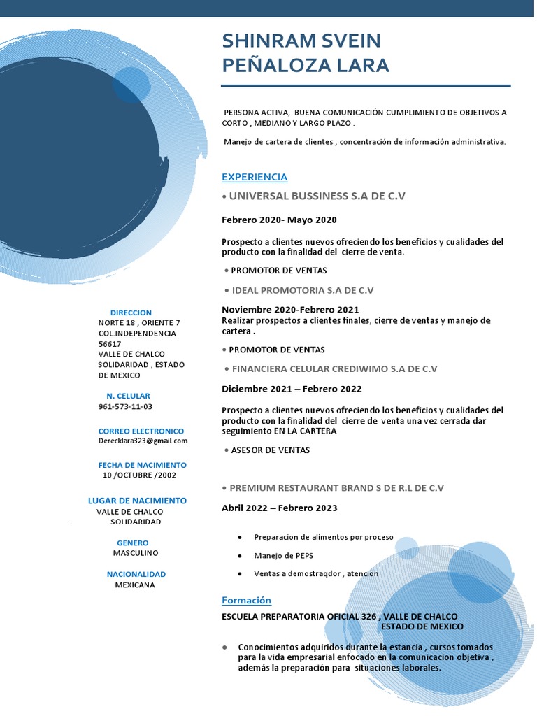 CV SH | Descargar gratis PDF | Business