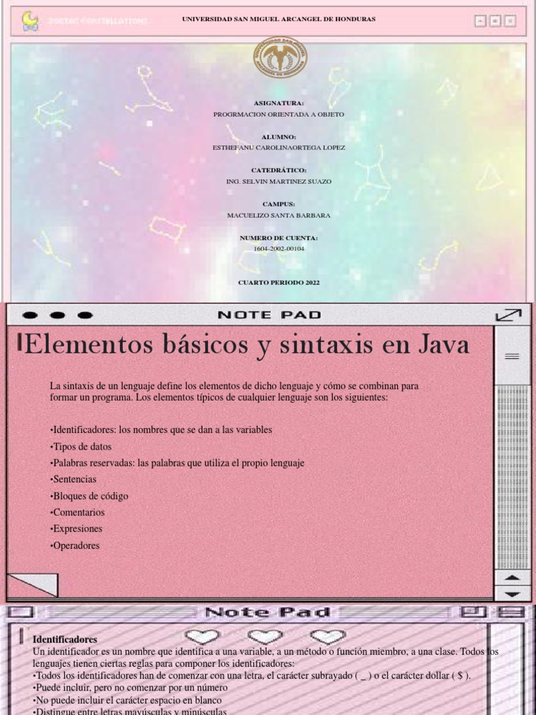 Elementos Basicos de Java | PDF | Lenguaje de programación | Java (lenguaje de programación)