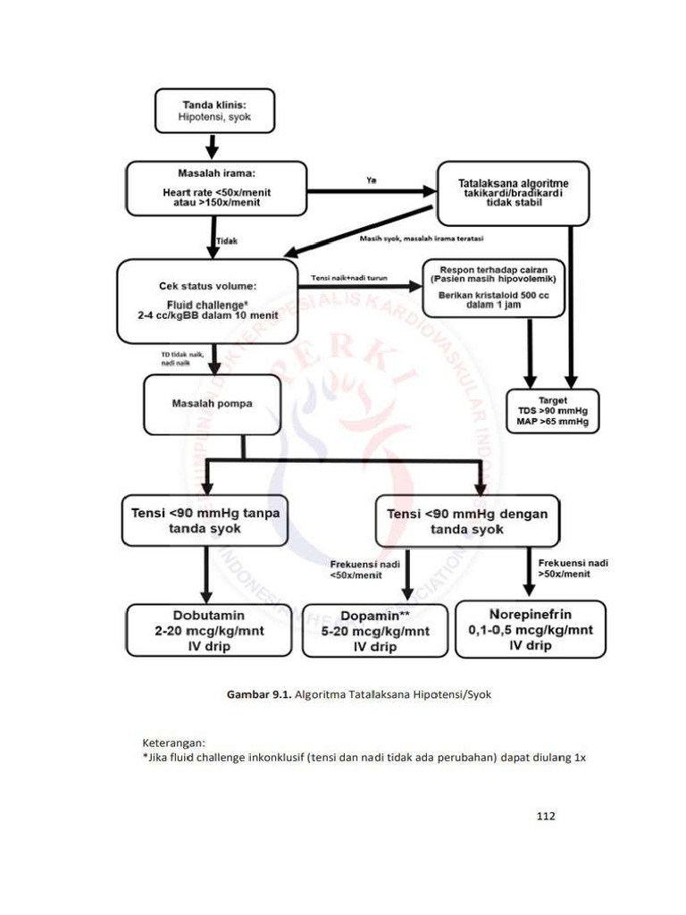 Algoritma Syok | PDF