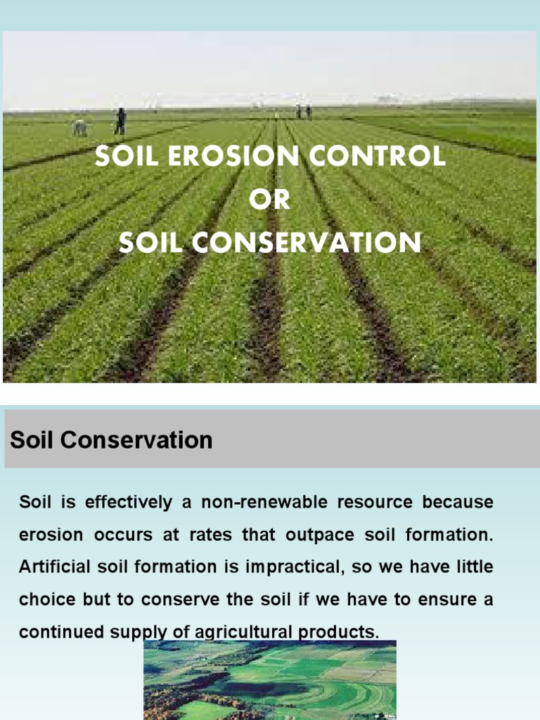 Soil Erosion Control Techniques | PDF