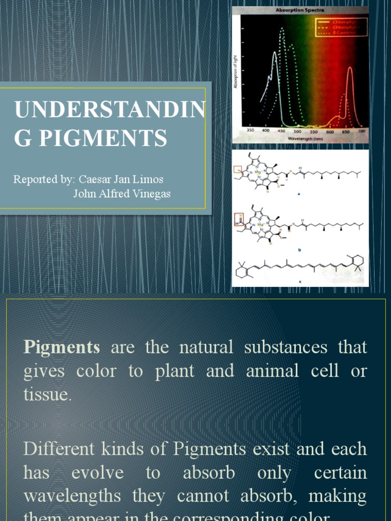 Understanding Pigments Powerpoint | PDF