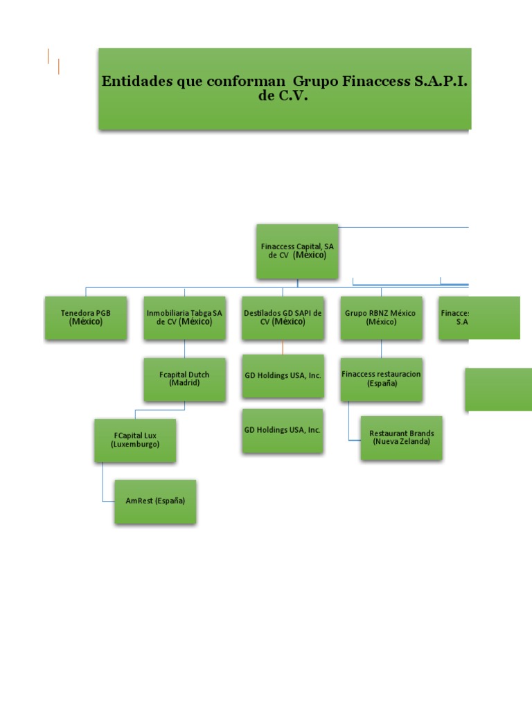 Organigrama Grupo Finaccess | PDF