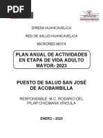 Codificación His Minsa App | PDF | Historial médico | Cuidado de la salud