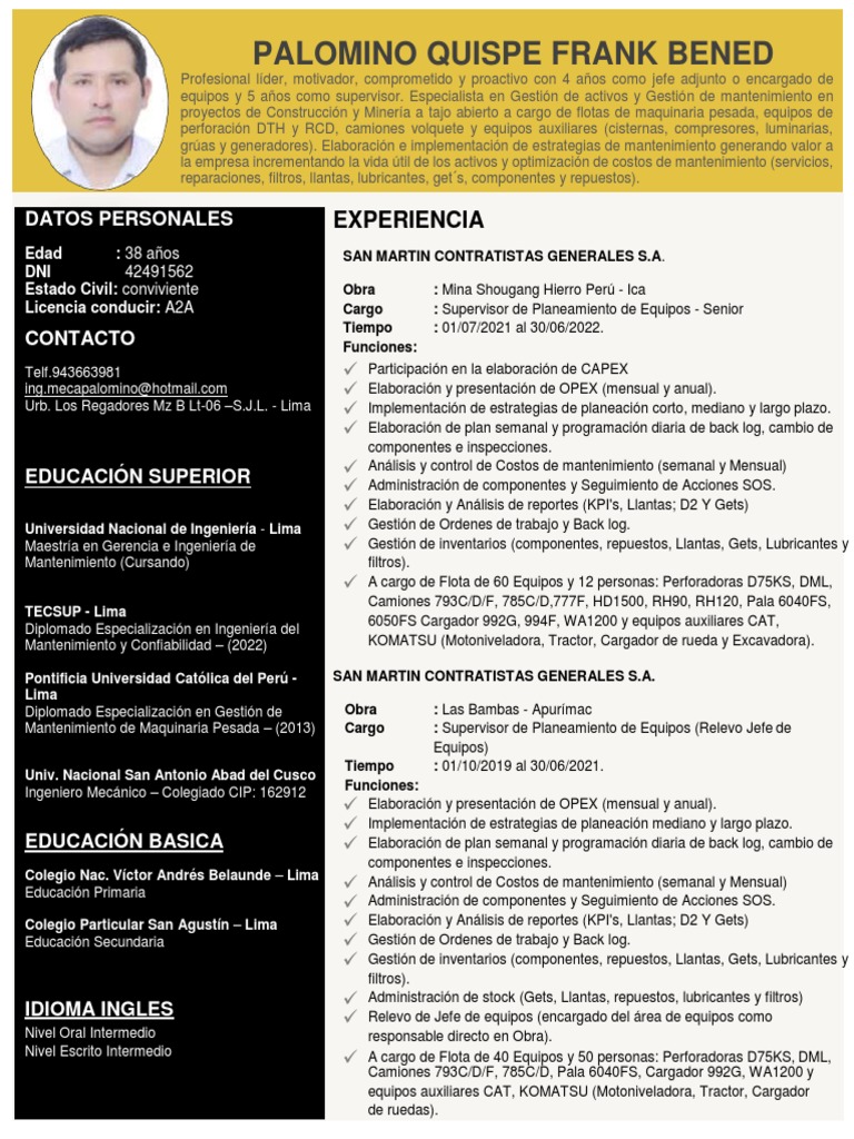 CV Frank Palomino | PDF | Planificación | Ingeniería