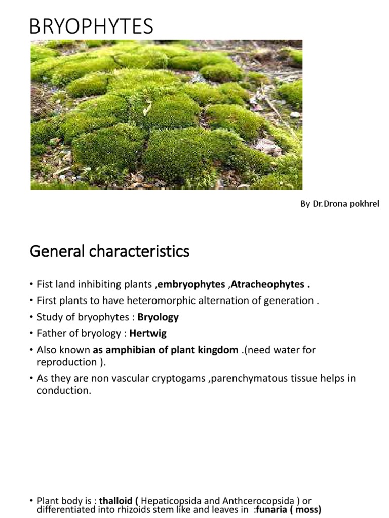 Bryophytes Note | PDF | Moss | Spore Bryophytes Note | PDF | Moss | Spore