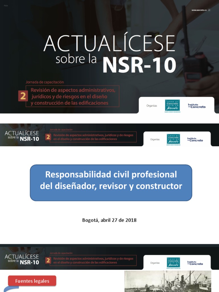 2-Responsabilidad Profesional Del Disenador y Del Revisor de Disenos | PDF