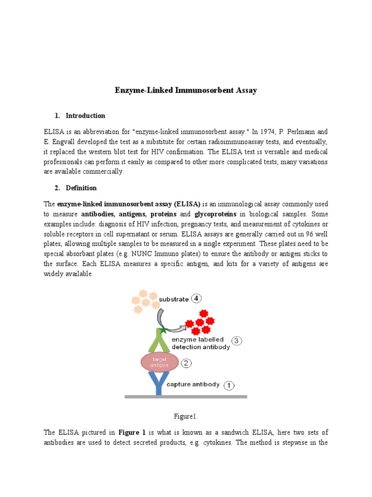 A Comprehensive Guide to Enzyme-Linked Immunosorbent Assay (ELISA ...