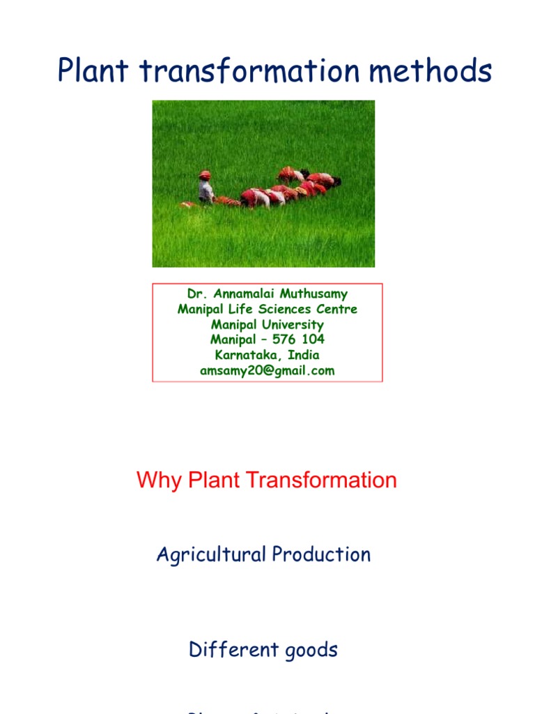 Plant Transformation Techniques Overview | PDF | Transformation ...