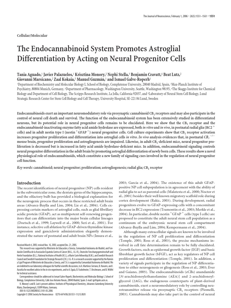 Aguado 2006 JN | PDF