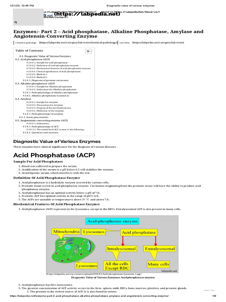 Enzymes - Part 2 - Acid Phosphatase, Alkaline Phosphatase, Amylase and ...