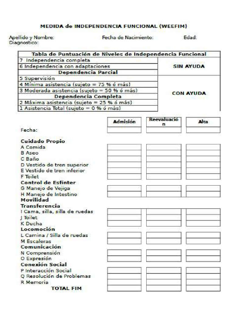 Wee FIM | PDF