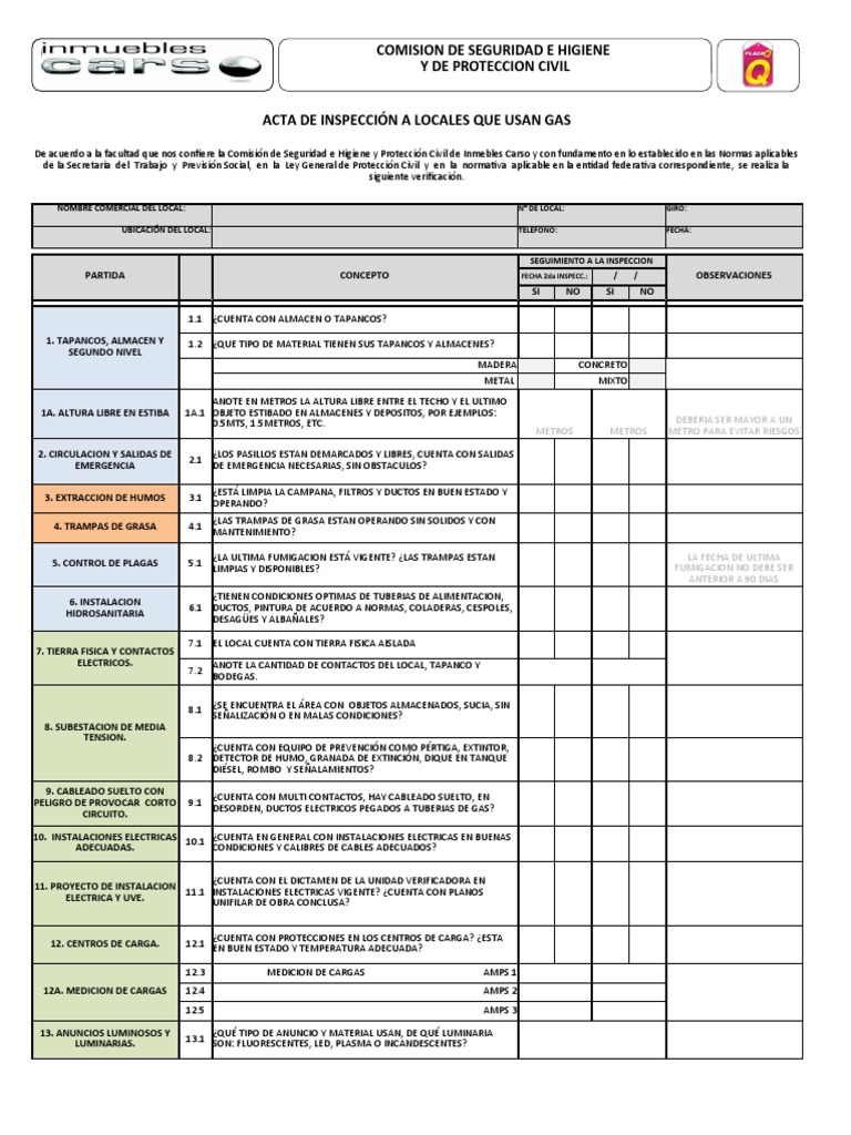 Formato Inspeccion de Locales Con Gas | PDF