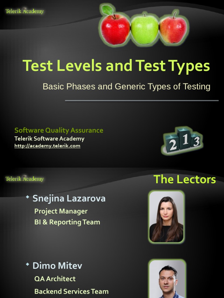 Test Levels and Types | PDF | Software Testing | Risk