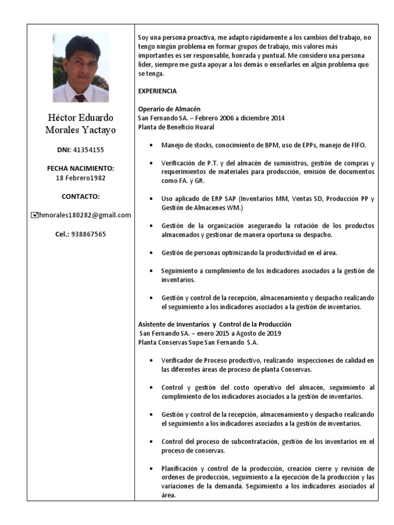 Curriculum Vitae Hector Morales | PDF | Business | Informática