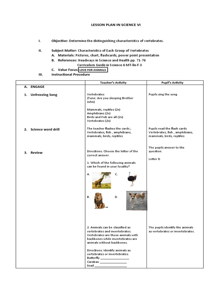 LESSON PLAN IN SCIENCE VI Vertebrates | PDF | Vertebrates | Fish