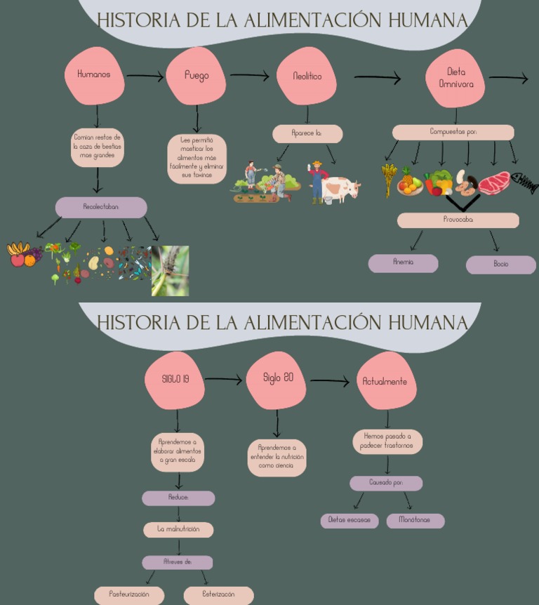 Evolución de la Alimentación Humana | PDF