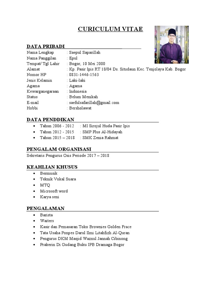 Curiculum Vitae A Epul | PDF